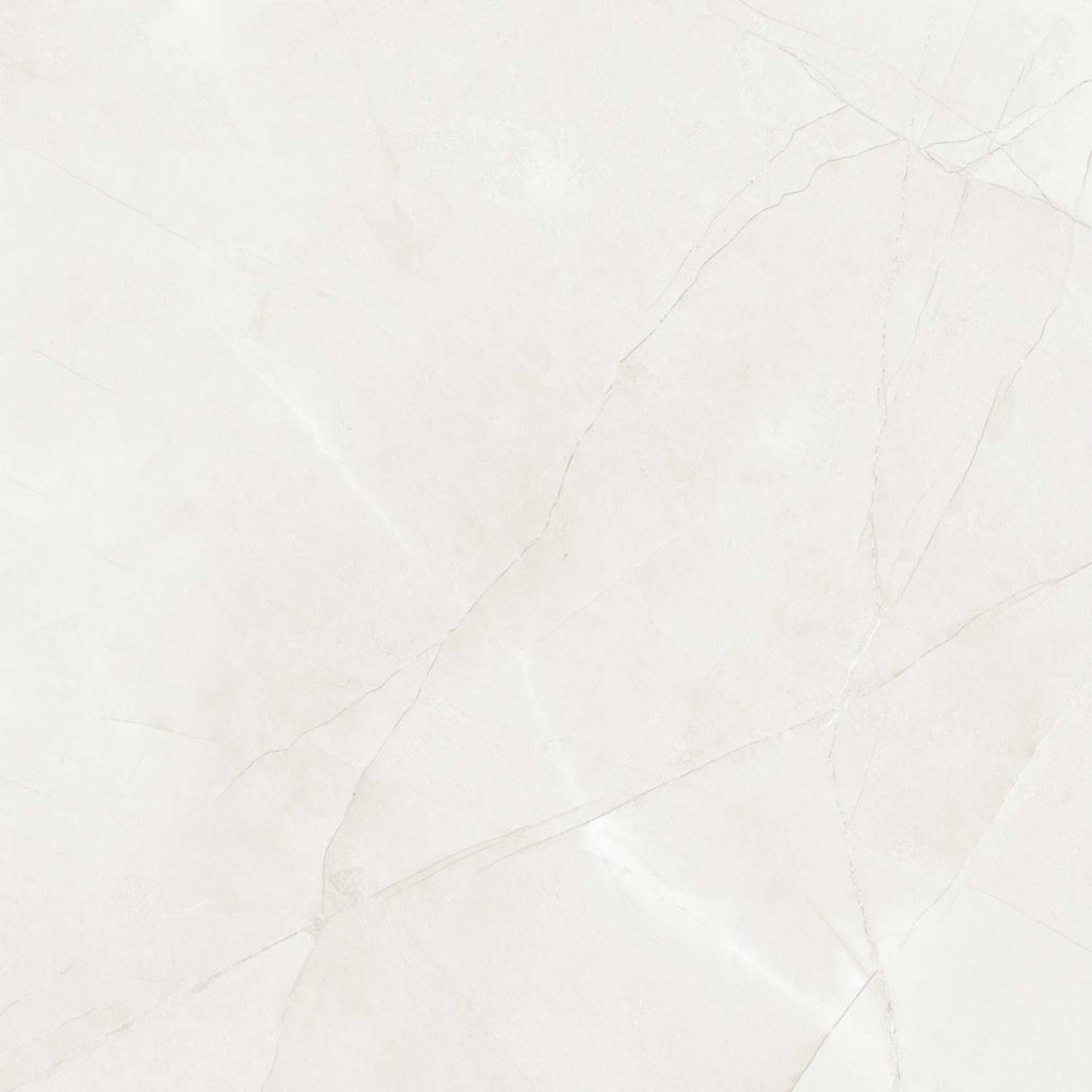 Pulpis Marfil | Codicer