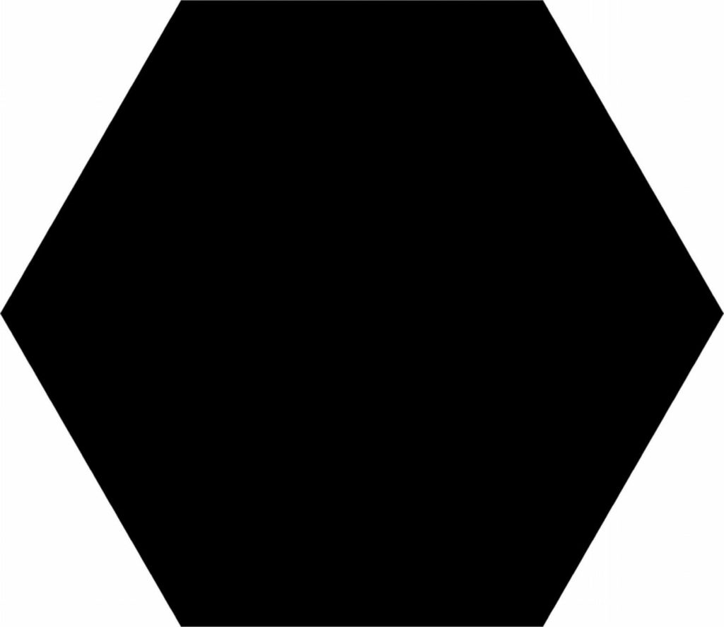 Basic Black Hex 25 | Codicer