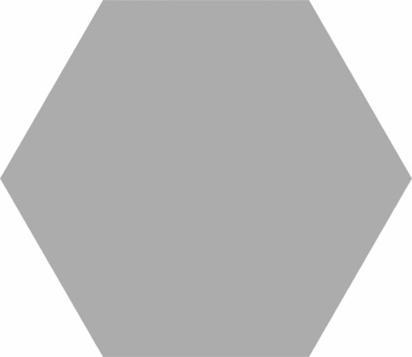 Basic Silver Hex 25 | Codicer