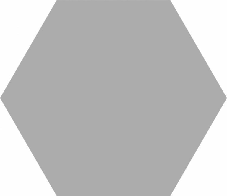 Basic Silver Hex 25 | Codicer