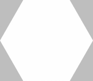 Basic White Hex 25 | Codicer