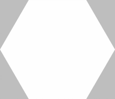 Basic White Hex 25 | Codicer