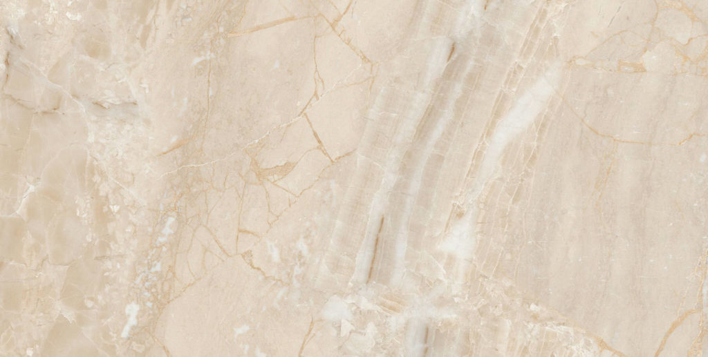 Chester Cream | Codicer