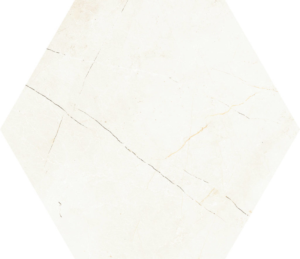 Pulpis Marfil | Codicer