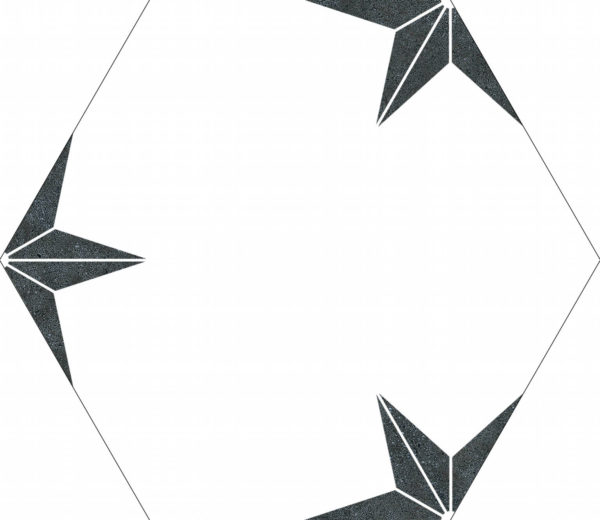 Stella Nero | Codicer