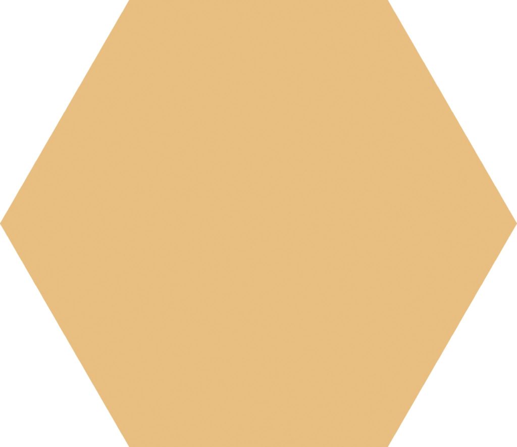 Basic Mango Hex25 | Codicer