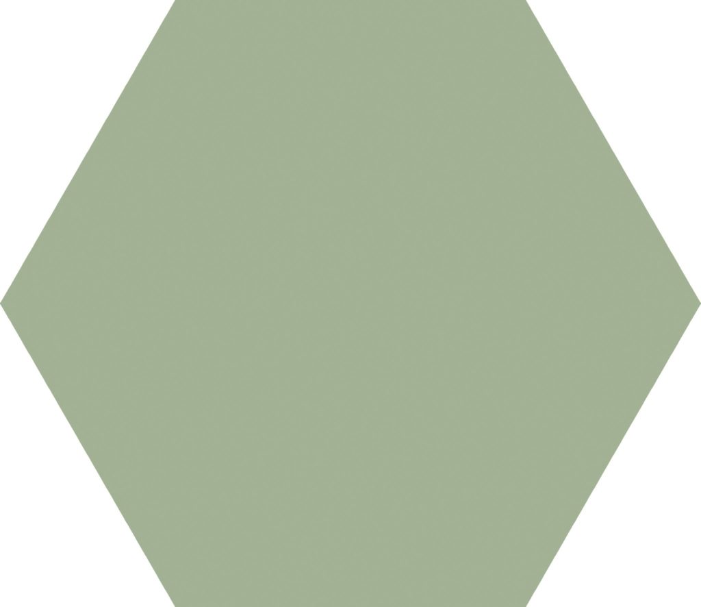 Basic Olive Hex25 | Codicer