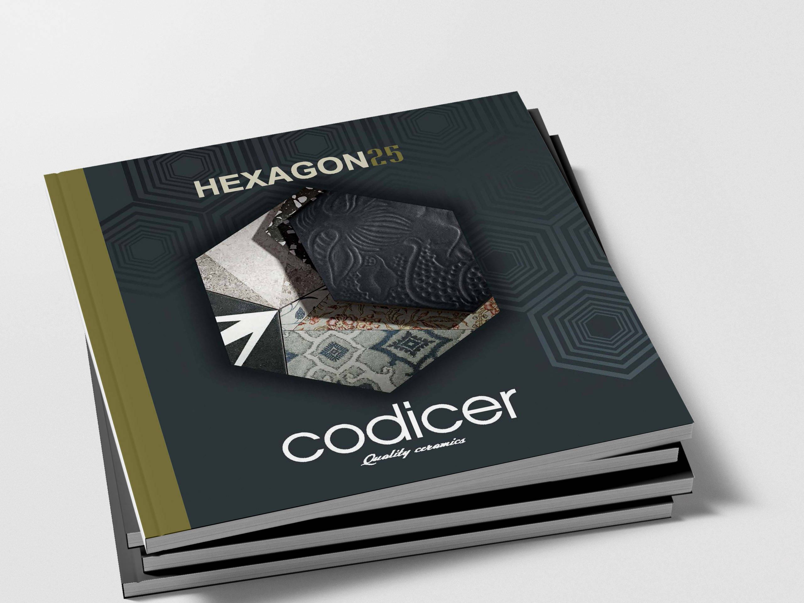 Descarga todos nuestros catálogos | Codicer